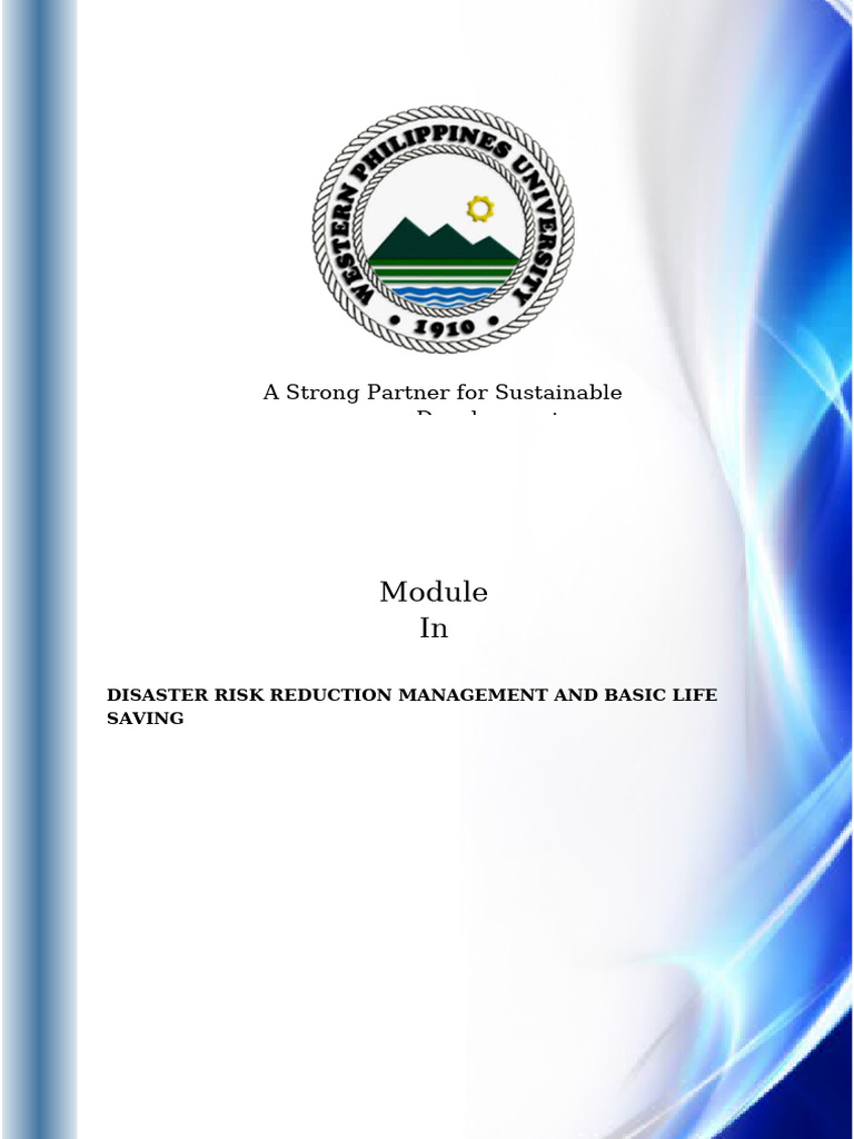 3 Disaster Risk Reduction Management | PDF