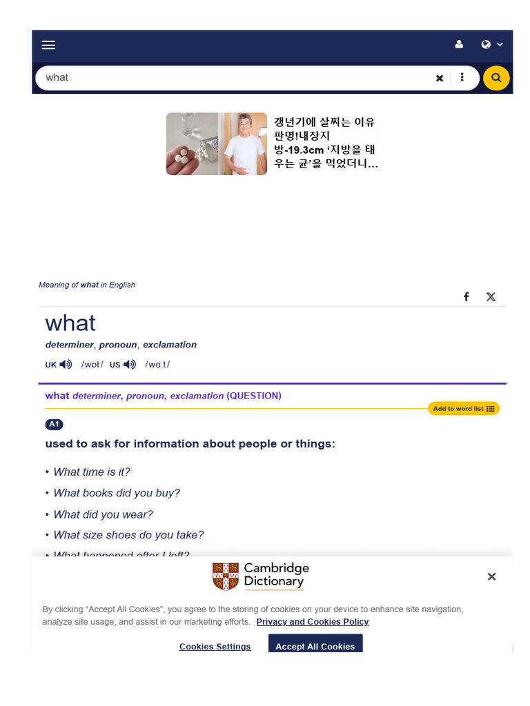 Dictionary Cambrid... | PDF