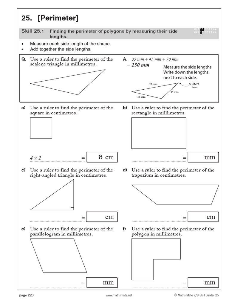 Year 8 Perimeter Skill Builders | PDF
