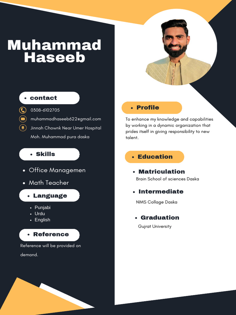 CV Muhammad Haseeb | PDF
