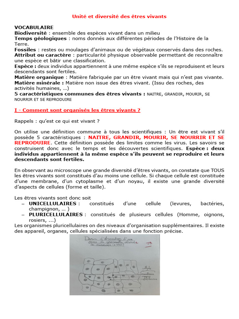Unité Et Diversité Des Êtres Vivants | PDF