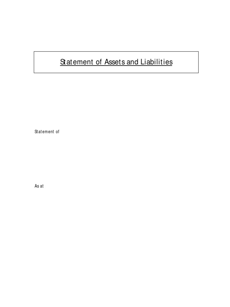 Assets and Liabilities Statement Template | PDF | Business | Law