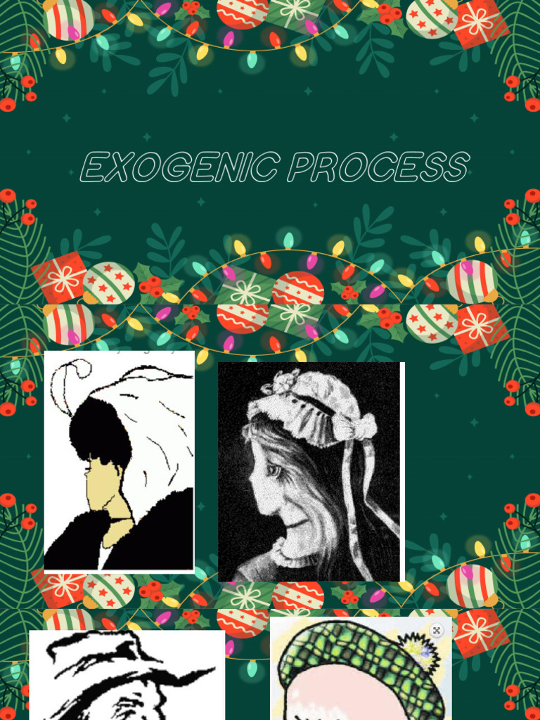 5 Exogenic Process | PDF