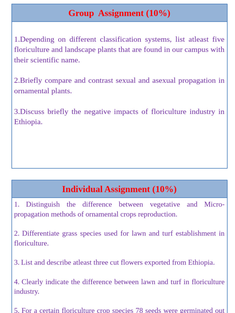 Flori Chapter 5 | PDF
