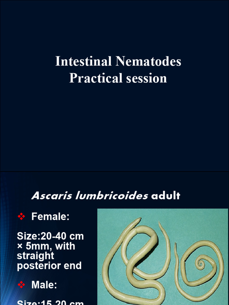 نسخة Nematodes Lab | PDF