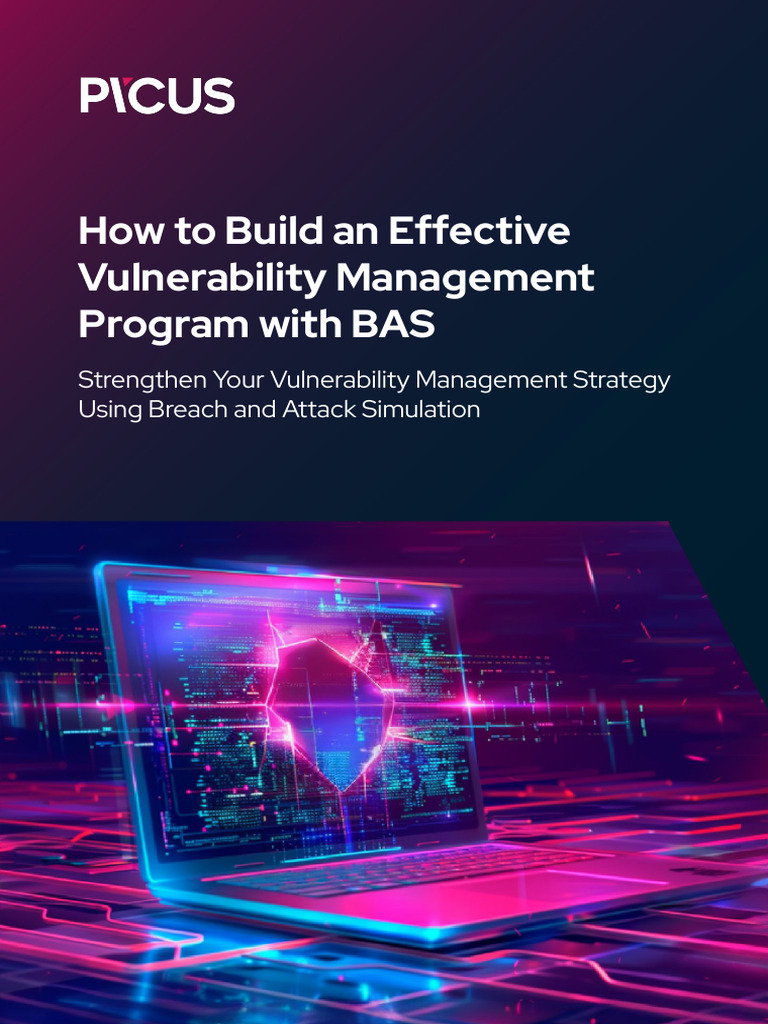 How To Build An Effective Vulnerability Management Program | PDF
