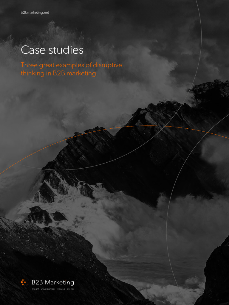 BtoB Marketing Case Study | PDF