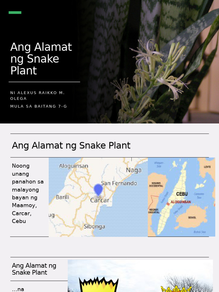 Ang Alamat NG Snake Plant | PDF