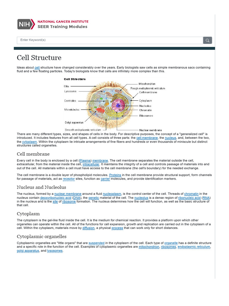 Cell Structure | SEER Training | PDF