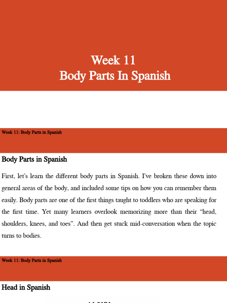 Body Parts in Spanish - PPT | PDF