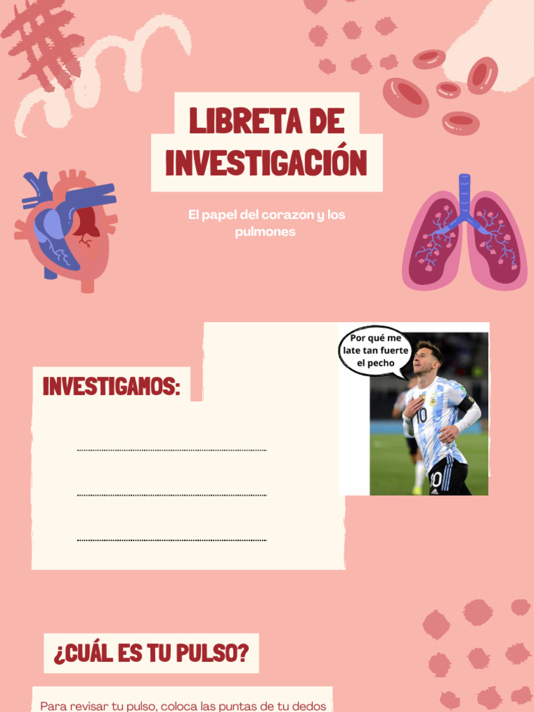 Libreta de Investigación para Secuencia. | PDF | Corazón | Artería