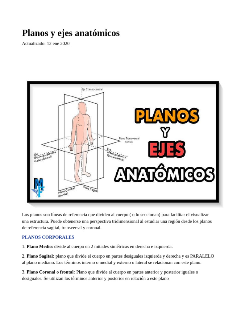 Planos y Ejes Anatómicos del Cuerpo | PDF