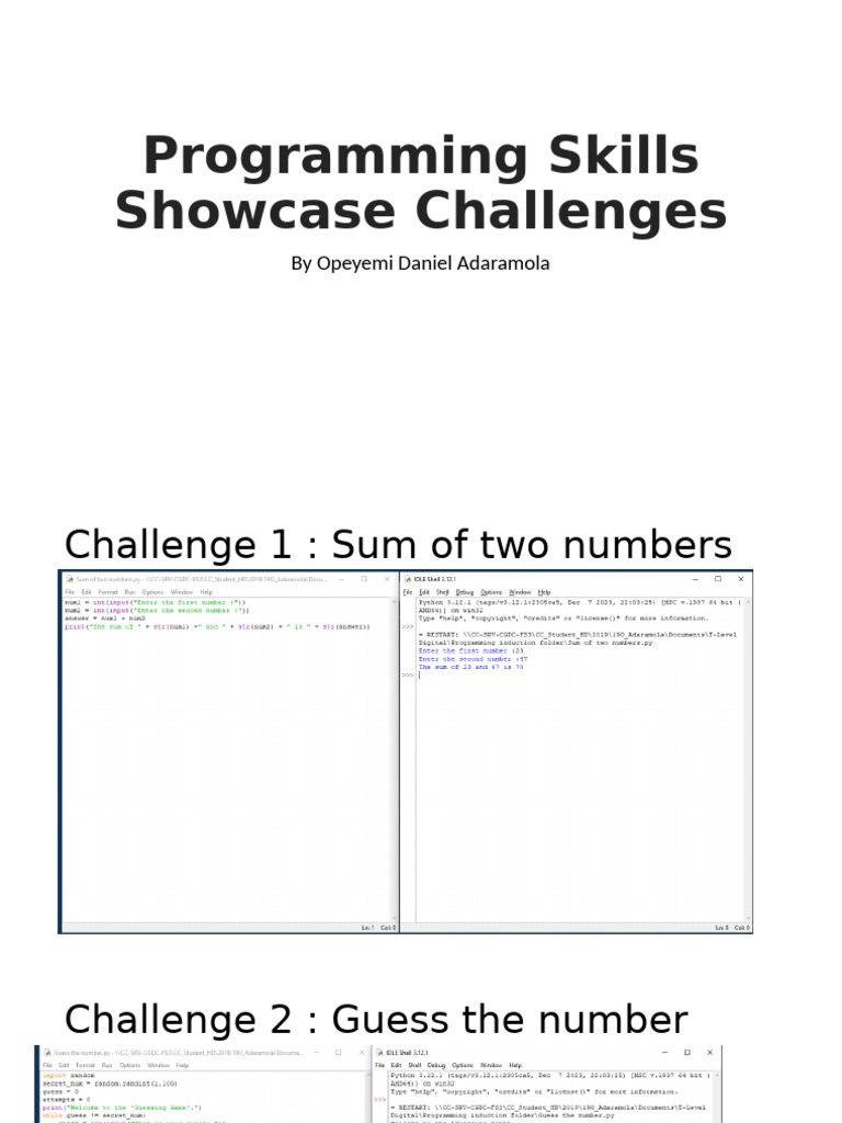 Programming Skills Showcase Challenges | PDF | Computers