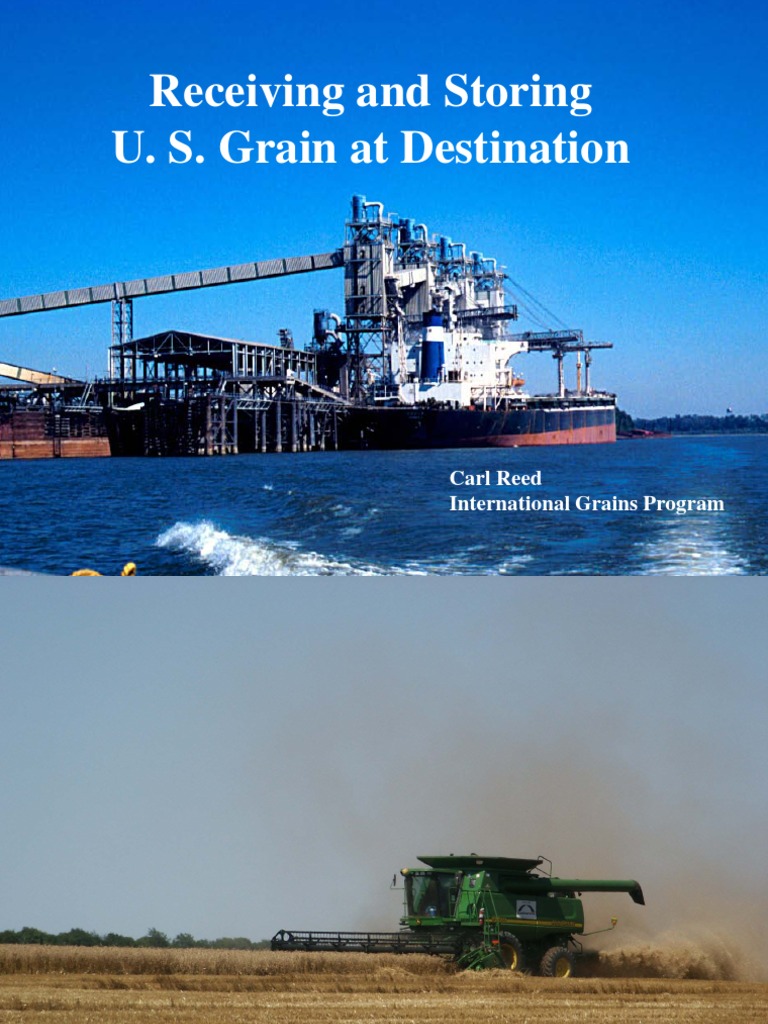 1 - Grain Storage - Reed | PDF | Mold | Mycotoxin