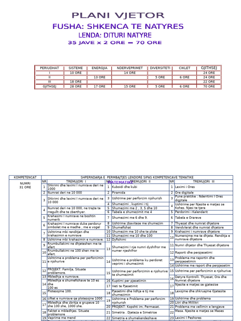 Plani Vjetor Matematike | PDF