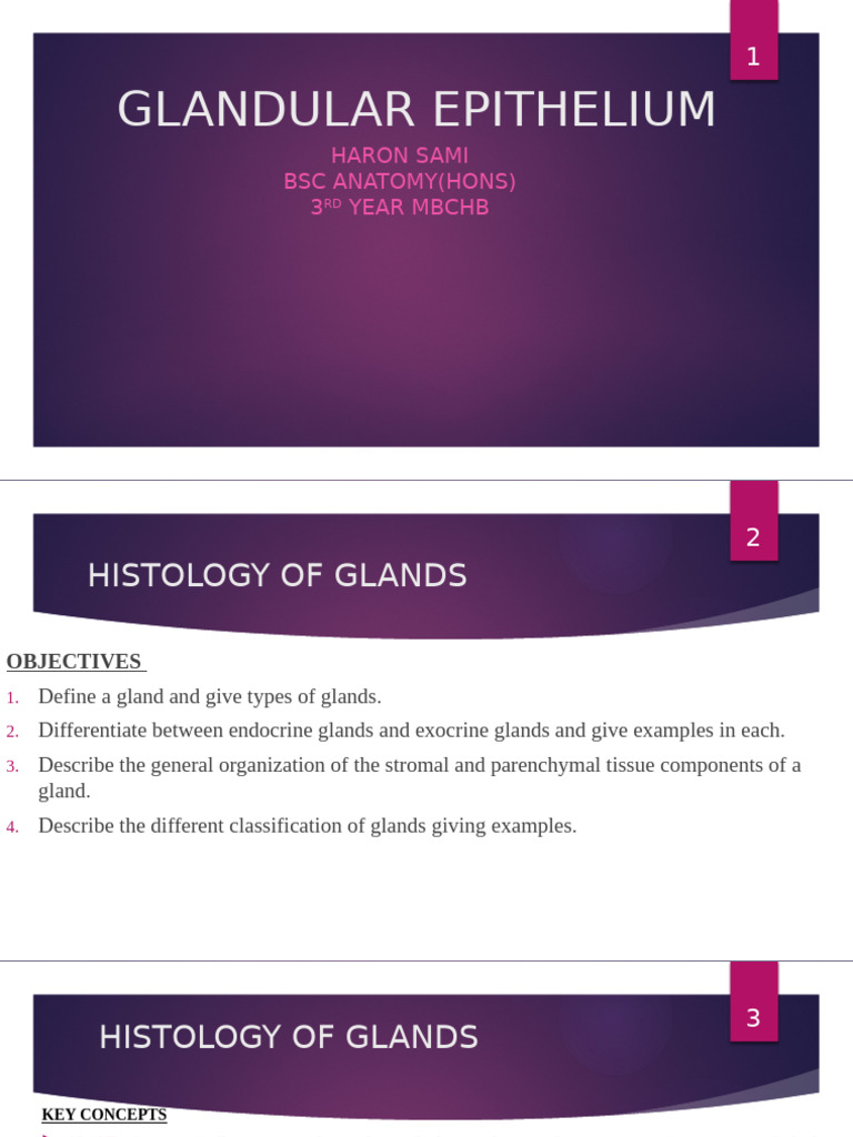 Glandular Epithelium Histology Pdf