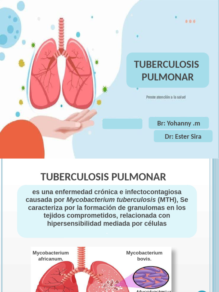 TB Pulmonar | PDF
