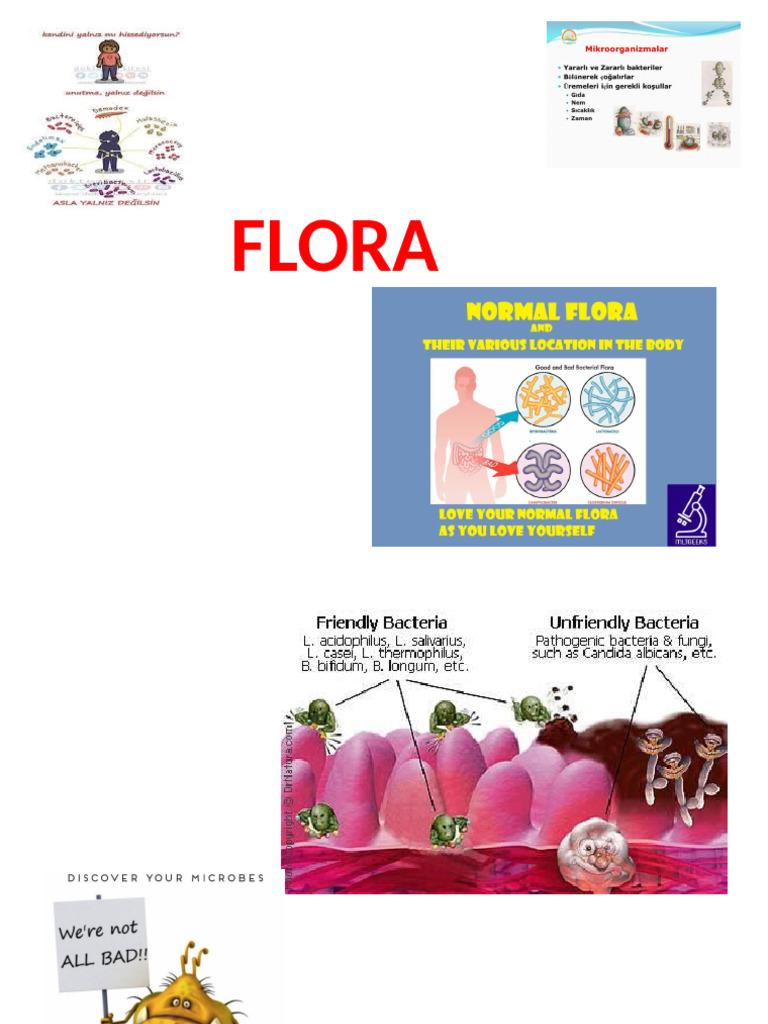 22-FLORA | PDF