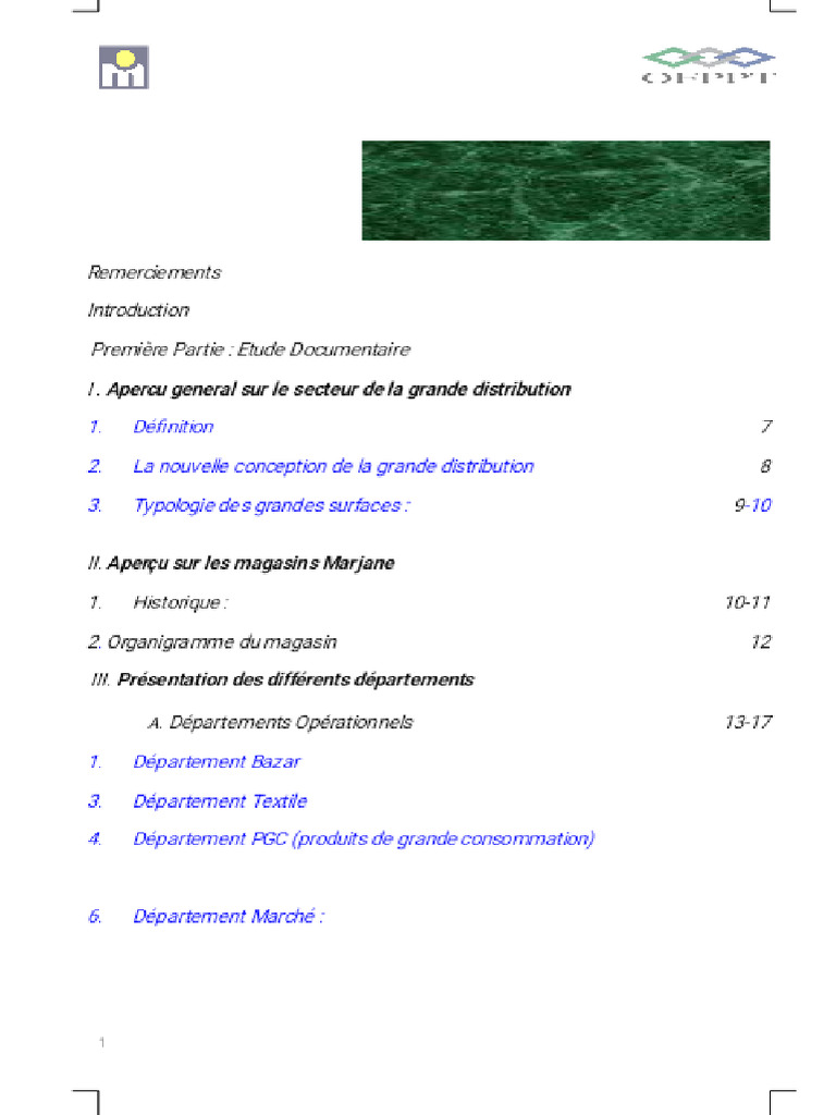 Rapport de Stage Marjane 1 Phoenix | PDF