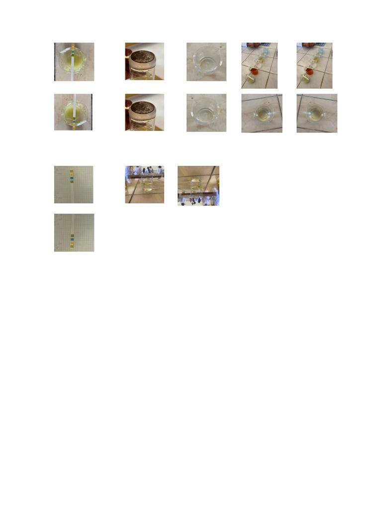 Biolab | PDF