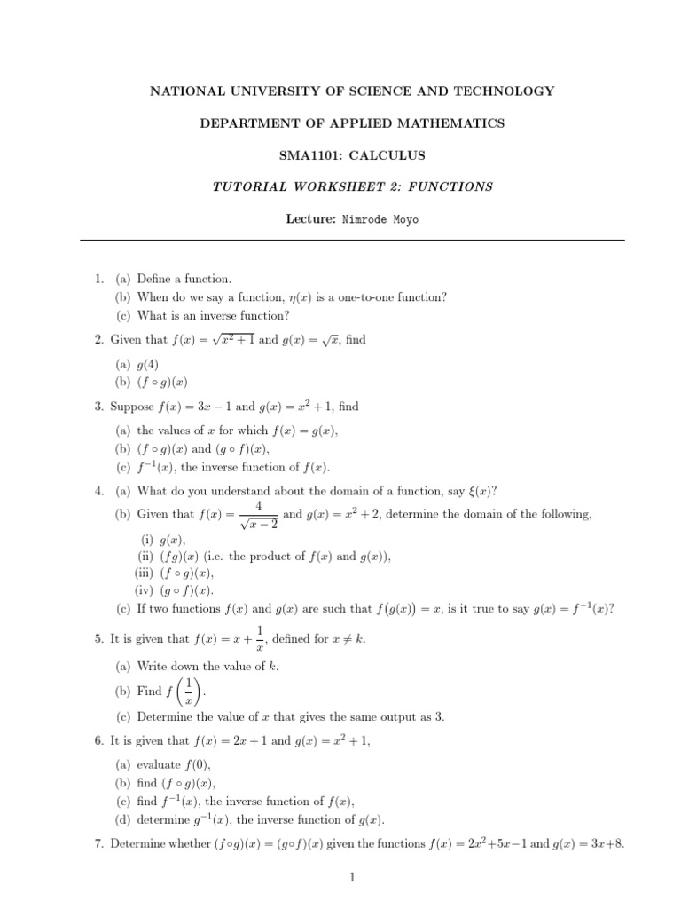 SMA1101 Functions Worksheet | PDF