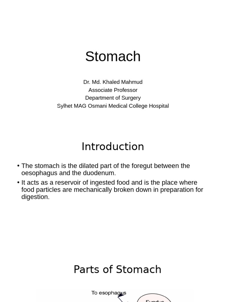 Diseases of Somach | PDF