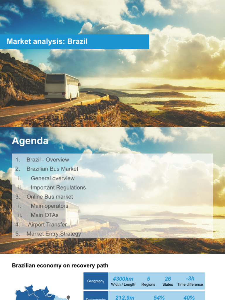 Brazilian Market Analysis - Distribusion | PDF