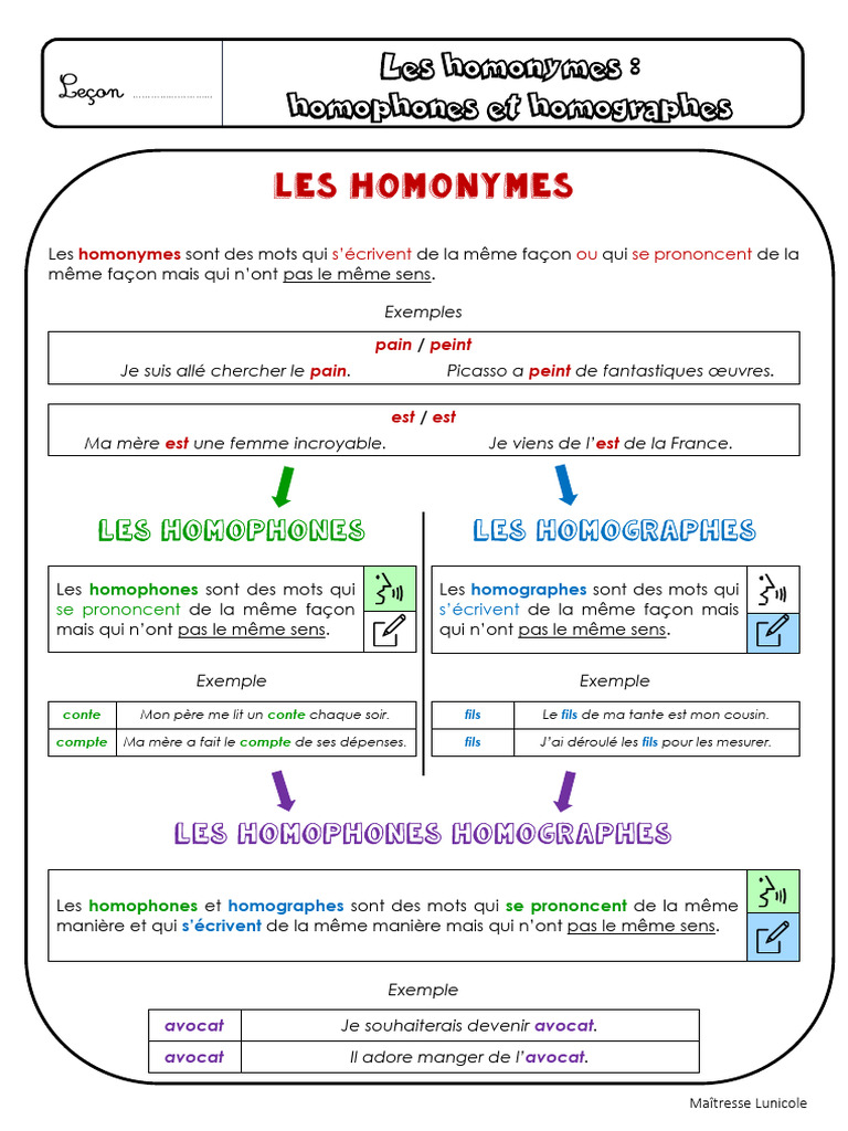 Les Homonymes Homophones Homographes Lecon Cm1 Cm2 1 | PDF