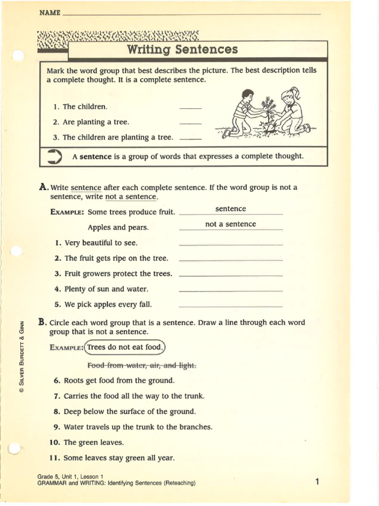 Grammar Workbook | PDF