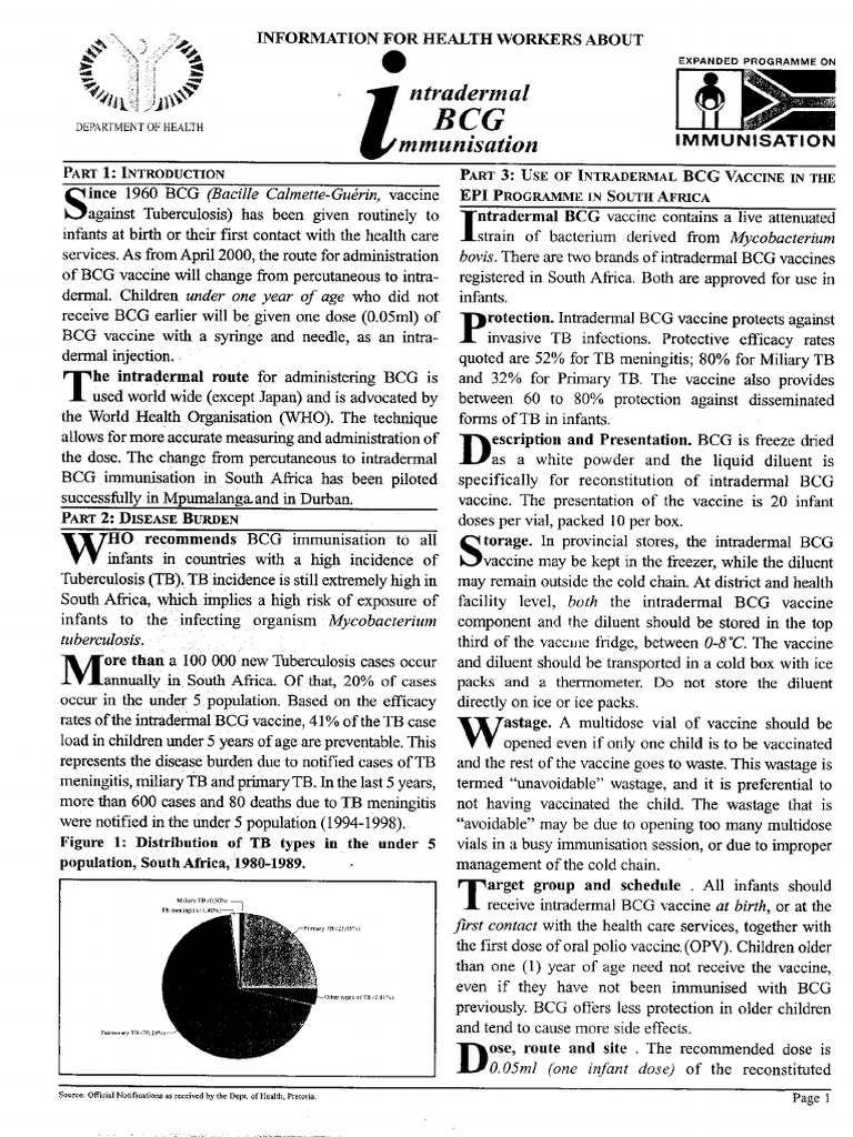 Intradermal BCG Immunisation | PDF