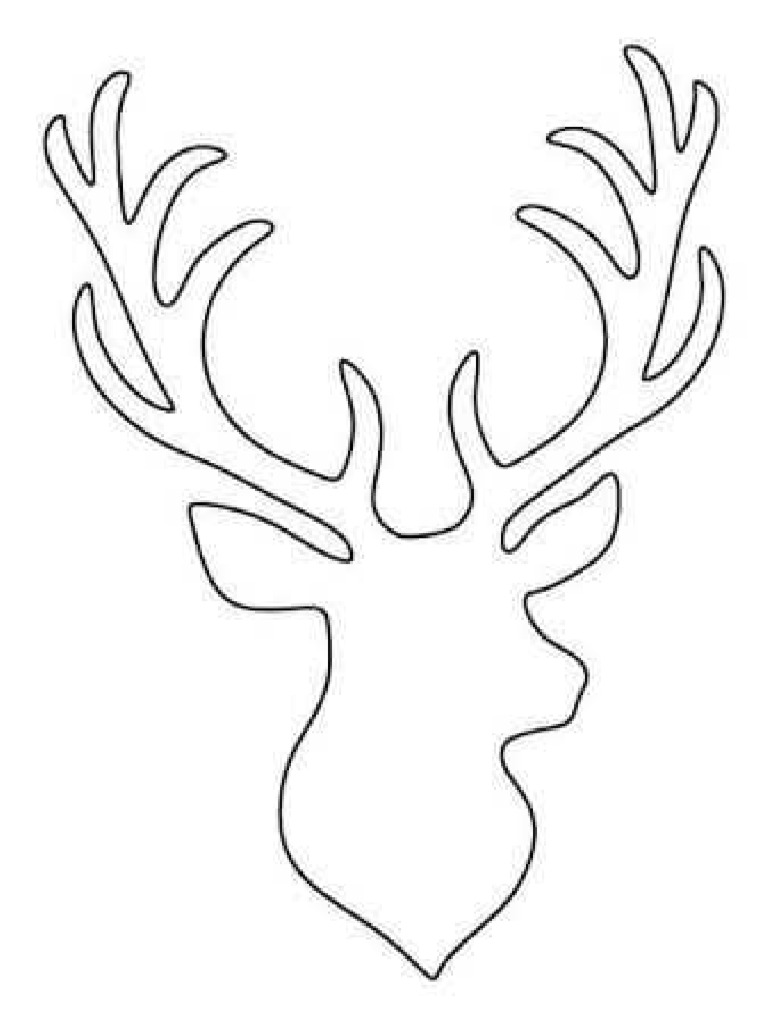 Deer | PDF