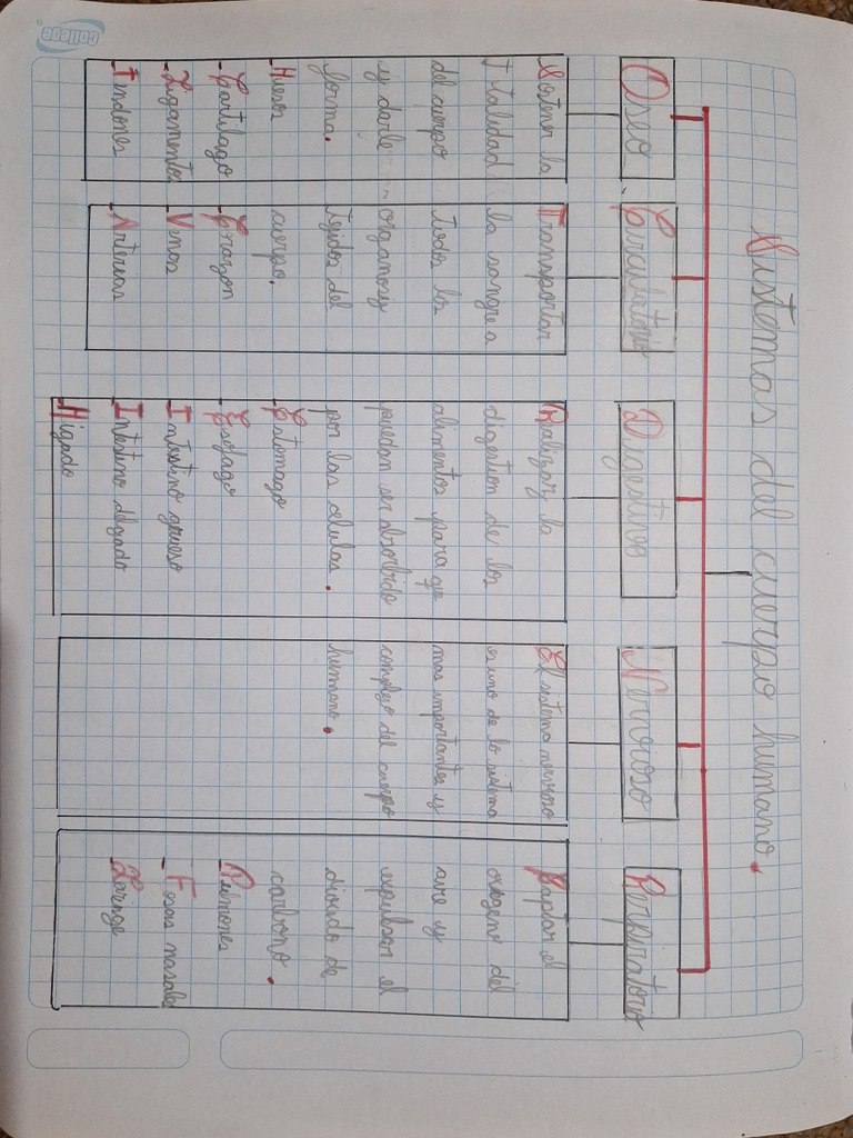Adrian Escate El Sistema | PDF