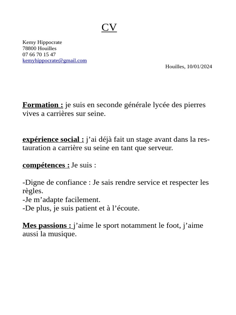CV Kemy | PDF