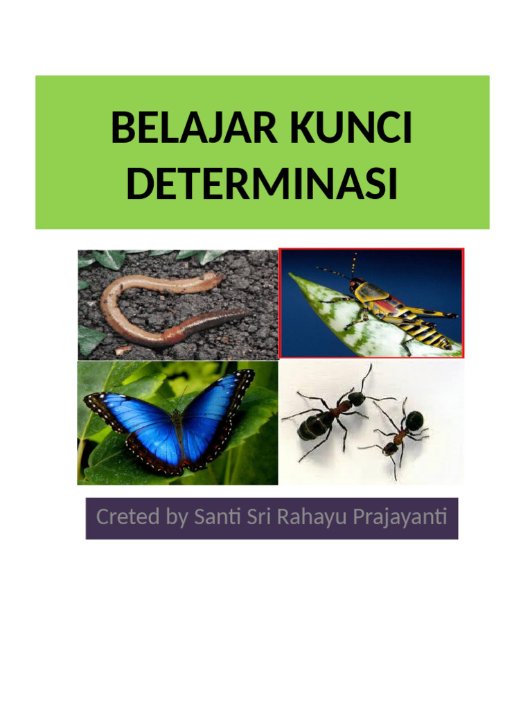 BELAJAR KUNCI DETERMINASI | PDF