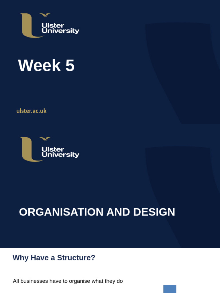WEEK 5 - Organisation Design | PDF