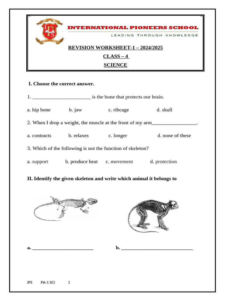 Gr-4 2024-2025 - Revision WKST | PDF