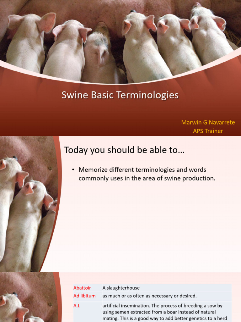 2PPT Terminologies | PDF