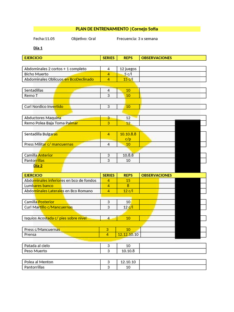 Plan de Entrenamiento Nro 6 Cornejo Sofia | PDF Plan de Entrenamiento Nro 6 Cornejo Sofia | PDF