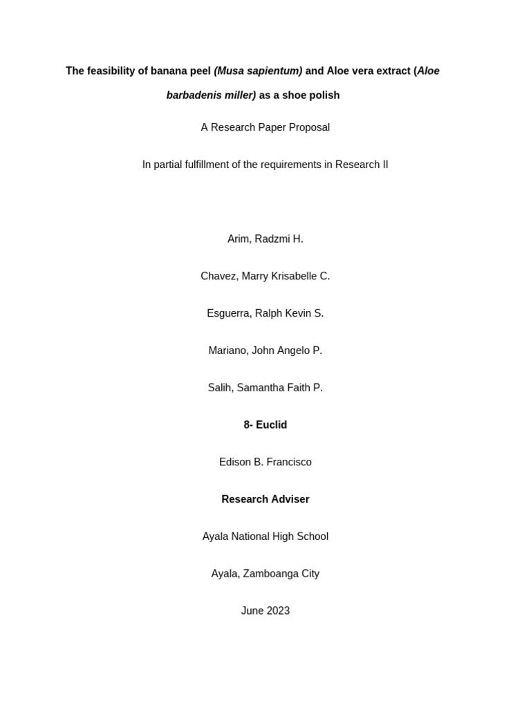 No RRL No Conceptual Frameworks | PDF