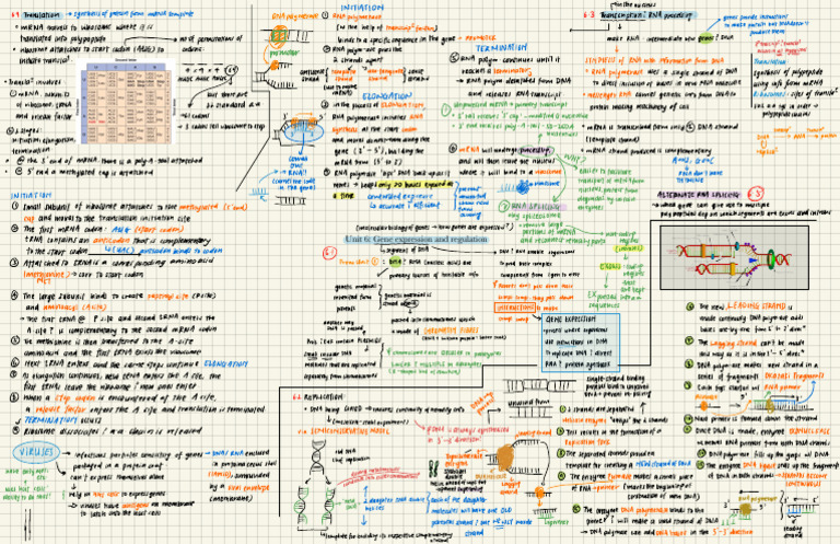 AP Bio | PDF