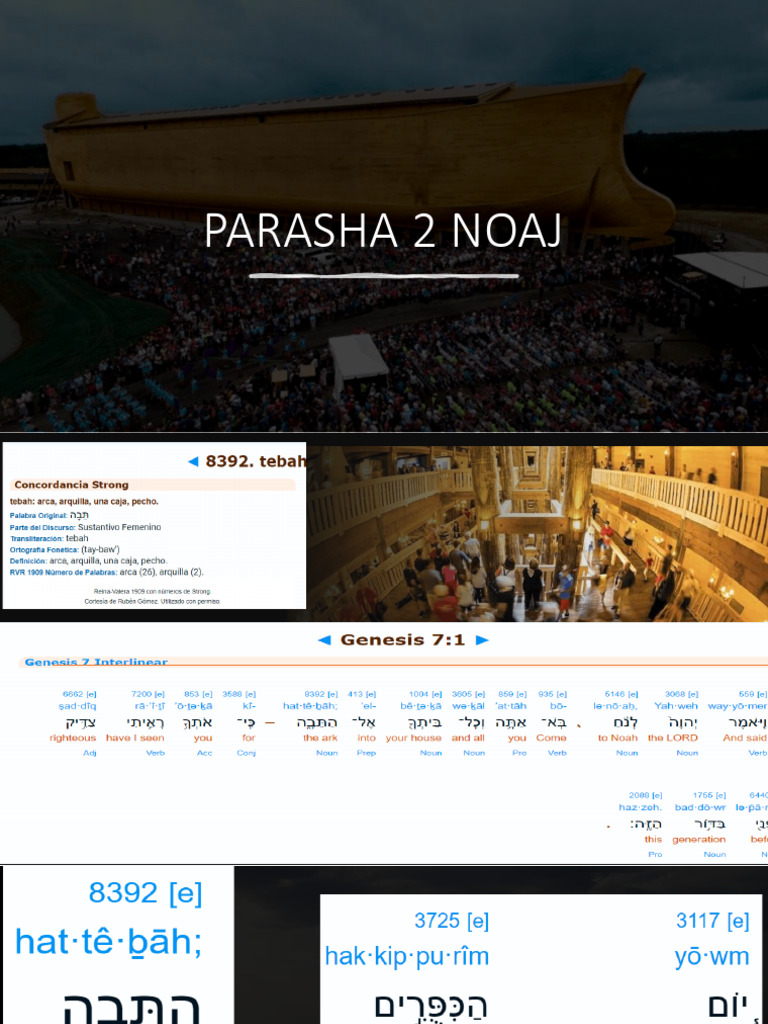 Parasha 2 Noaj | PDF