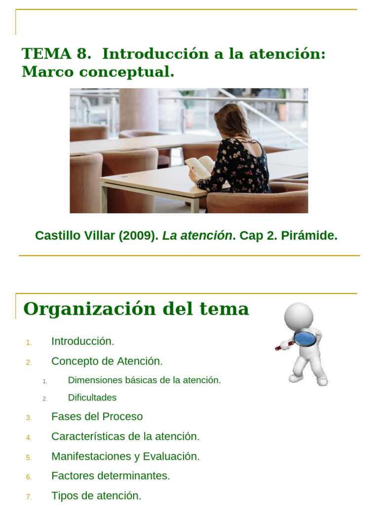 Tema 8 Atencion | PDF