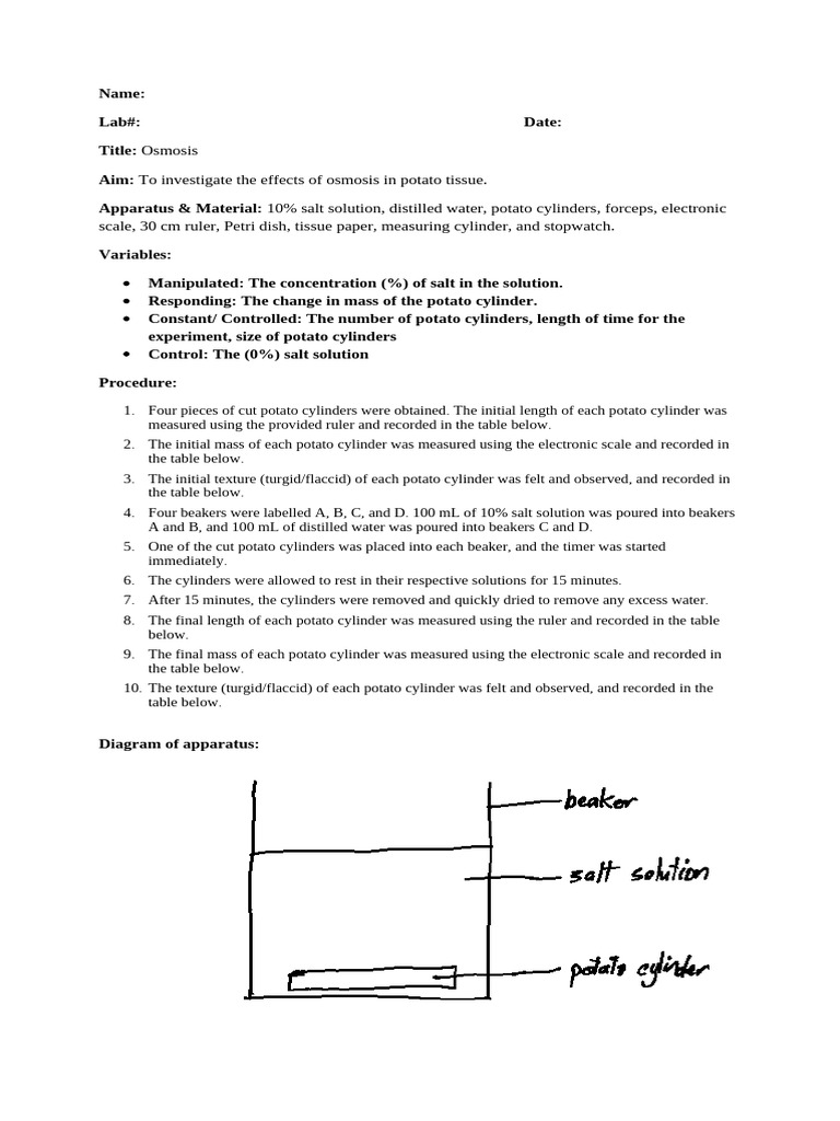 Osmosis Lab Worksheet 3 | PDF