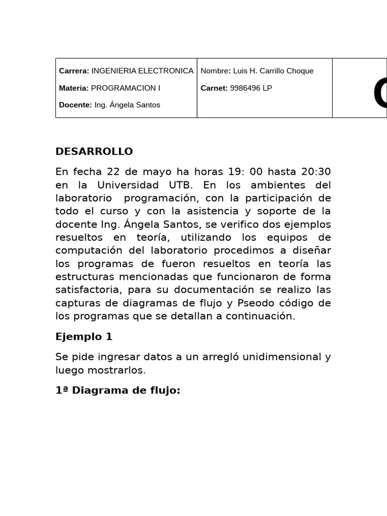 Informe PROGRAMACION 1 | PDF