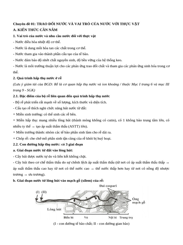 SINH 11.ĐỀ CƯƠNG ÔN TẬP HK1 | PDF