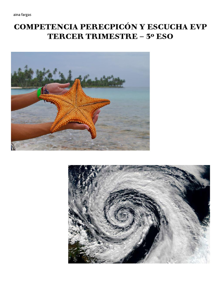 COMPETENCIA DIGITAL EVP 3TRIM e | PDF