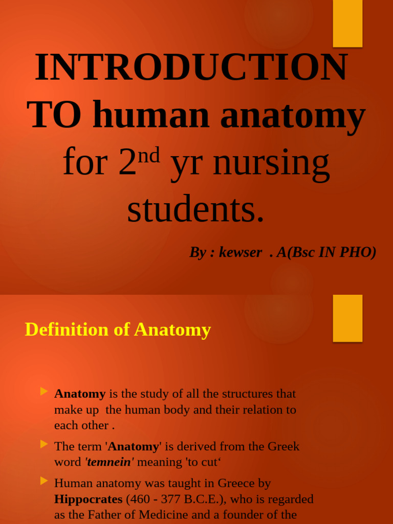 1.anatomy Introduction Nurses | PDF | Anatomical Terms Of Motion ...