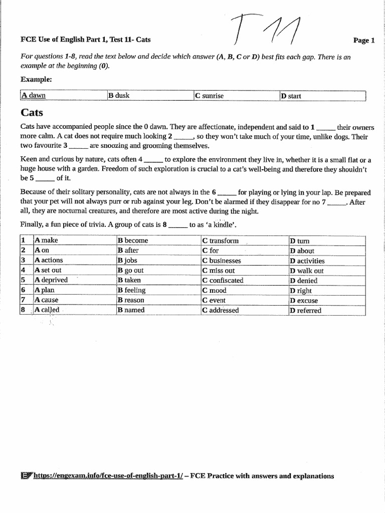FCE Tests Multiple Choice | PDF