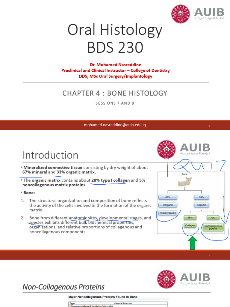 BDS 230 Bone Histology Sessions 7 8 | PDF
