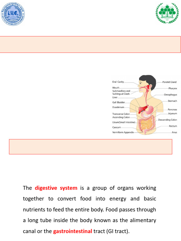 Nutrition and Health-Ch2-Digestive System | PDF
